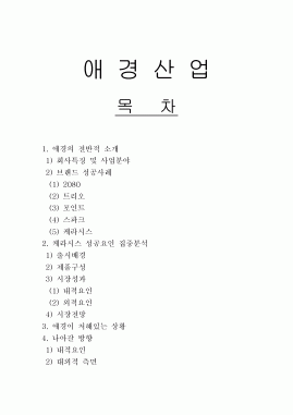 [경영마케팅] 애경산업의 성공비결과 분석-1페이지