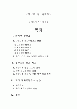 국제지역전문가실습 - 제 3의 불 원자력 : 원자력 발전소 현황, 후쿠시마 원전사고, 고리 원자력 발전소 실습-1페이지