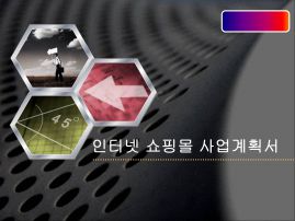 인터넷 쇼핑몰 사업계획서.ppt-1페이지