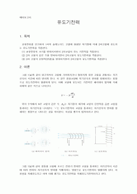 [예비] 유도기전력-1페이지