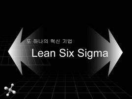 Lean Six Sigma (린 식스 시그마 장점)-1페이지