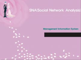 SNA(Social Network Analysis) Management Information System (SNT,SNA,SNA동향,SNS와SNA,Social Network Theory,Social Network Analysis).PPT자료-1페이지