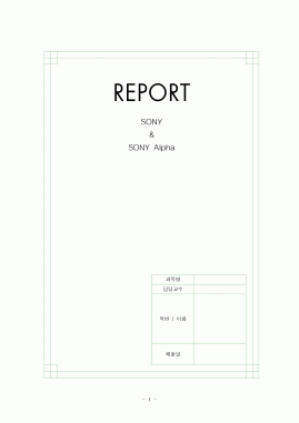 SONY ＆ SONY Alpha - SONY,SONY마케팅,SONY분석,SONY마케팅전략,SONY기업분석,소니,소니마케팅,소니기업분석,소니마케팅전략-1페이지