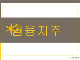 금융지주회사,금융지주분석,KB금융지주,지주회사분석.PPT자료-1페이지