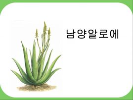 남양알로에,해외진출,글로벌경영,브랜드마케팅,서비스마케팅,글로벌경영,사례분석,swot,stp,4p-1페이지