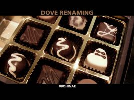 DOVE RENAMING -도브초콜릿,도브기업분석,초콜릿시장,마케팅,브랜드,브랜드마케팅,기업,서비스마케팅,글로벌,경영,시장,사례,swot,stp,4p.PPT자료-1페이지