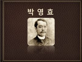 박영효,박영효인물분석,인물분석,과부재가론,축첩폐지론,조혼폐지론,여성교육론-1페이지