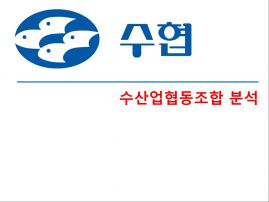 수산업협동조합 분석,수협기업분석,수협분석,수협의문제와개선방안-1페이지