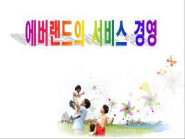 에버랜드마케팅전략 및 기업분석,에버랜드서비스겨영,에버랜드성공요인,놀이공원마케팅-1페이지