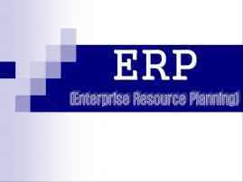 ERP에 관한 피피티 자료-1페이지