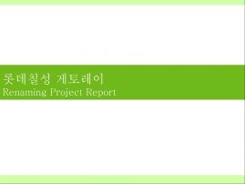 롯데칠성 게토레이 리네이밍 Renaming Project Report - 이온음료,롯데칠성,게토레이,음료시장분석,마케팅,브랜드,브랜드마케팅,기업,서비스마케팅,글로벌,경영,시장,사례,swot,stp,4p.PPT자료-1페이지