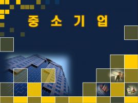 중소기업,중소기업유형,중소기업생존전략,대기업과중소기업,중소기업전략-1페이지