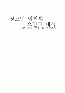 청소년 범죄의 요인과 대책,사회, 학교, 가정, 법 측면에서,청소년 범죄의 심각성-1페이지