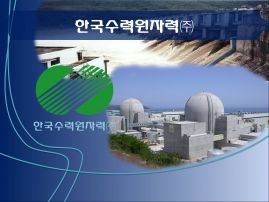 한국수력원자력,한국수력원자력기업분석,한국수력원자력경영전략,한수원,한수원기업분석-1페이지