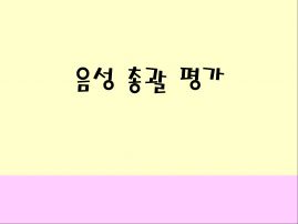 음성 총괄 평가 -1페이지