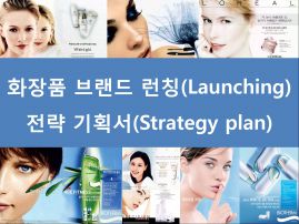 화장품 브랜드 런칭(launching) 전략 기획서(strategy plan)-1페이지