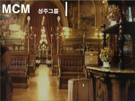 MCM(엠씨엠) 성주그룹 마케팅전략 및 분석-1페이지