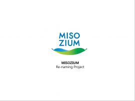 MISOZIUM Re-naming Project - MISOZIUM,미소지움리네이밍,푸르지오,마케팅,브랜드,브랜드마케팅,기업,서비스마케팅,글로벌,경영,시장,사례,swot,stp,4p.PPT자료-1페이지