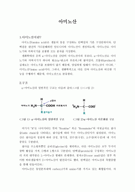 [화학] 아미노산에 대해서-1페이지