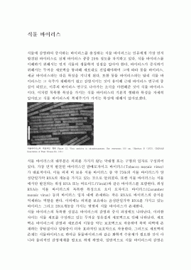 [바이러스학] 식물 바이러스에 관해서-1페이지