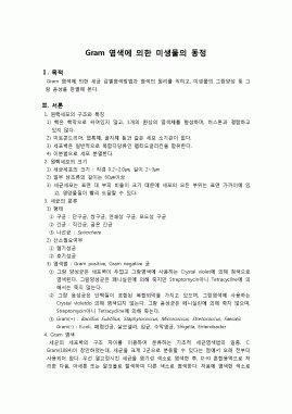 [일반생물학] Gram [그람]염색에 의한 미생물의 동정-1페이지