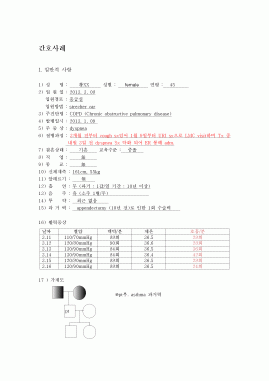 copd 대상자 케이스 간호진단 2개-1페이지