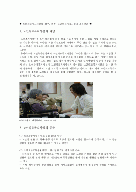 노인의료복지시설의 정책, 현황, 노인의료복지시설의 개선방안-1페이지