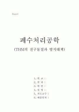 [폐수처리공학] THM(트리할로메탄 전구물질(생성능))의 전구물질과 방지대책-1페이지