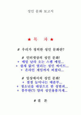 성인 문화 보고서 [우리가 정의한 성인 문화란]-1페이지