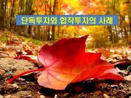 단독투자와 합작투자의 사례-1페이지