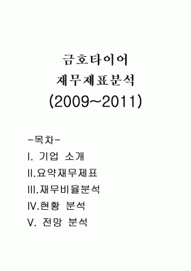 금호타이어(넥샌타이어) 재무분석(기업분석)-1페이지