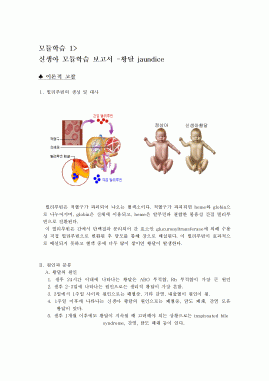 신생아 모듈학습보고서-1페이지