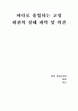 바다로 유입되는 고성 하천의 실태 파악 및 의견-1페이지