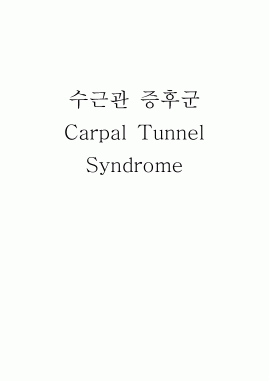 수근관증후군 carpal tunnel syndrome-1페이지