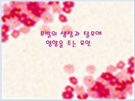 모발의 생장과 탈모에 미치는 영향.ppt-1페이지