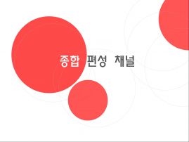 종합편성채널 분석-1페이지