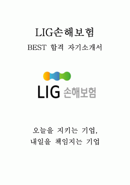 LIG손해보험 대졸 인턴 최신 BEST 합격 자기소개서!!!!-1페이지