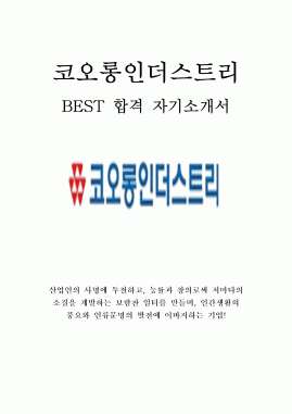 코오롱인더스트리 FnC부문 인턴 최신 BEST 합격 자기소개서!!!!-1페이지