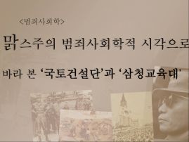 국토건설단,삼청교육대,범죄사회학적,정치깡패,깡패소탕,전두환정부,박정희정부,국토건설단과삼청교육대-1페이지