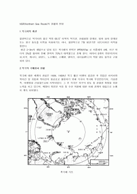 북극해 항로 NSR(Northern Sea Route)의 현황과 전망-1페이지