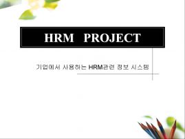 기업에서 사용하는 HRM관련 정보 시스템 - PIS개념-1페이지