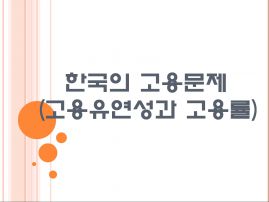 [한국고용관계]한국의 고용문제(고용유연성과 고용률,일자리문제,실업문제) PPT자료-1페이지