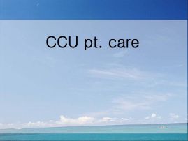 CCU 환자 Care-1페이지