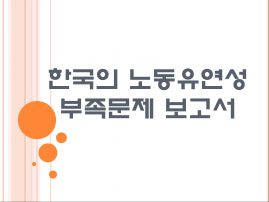 [고용관계]한국의 노동유연성 부족문제(노동시장,파견근로,비정규직) PPT자료-1페이지