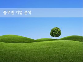 풀무원 기업분석-1페이지