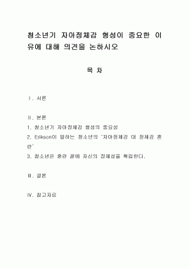 [사회과학] 청소년기 자아정체감 형성이 중요한 이유에 대해 의견을 논하시오-1페이지