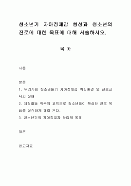 청소년기 자아정체감 형성과 청소년의 진로에 대한 목표에 대해 서술-1페이지