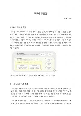 SNS(Social Network Service)의 장단점-1페이지