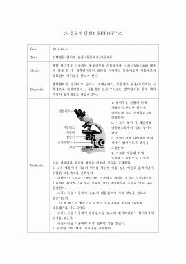 생물학실험1 1주차 -1페이지