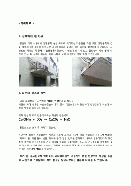 일상생활에서 보기 쉬운 파손현상 - 백화현상-1페이지